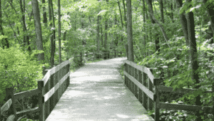 The definitive guide to metro Detroit parks